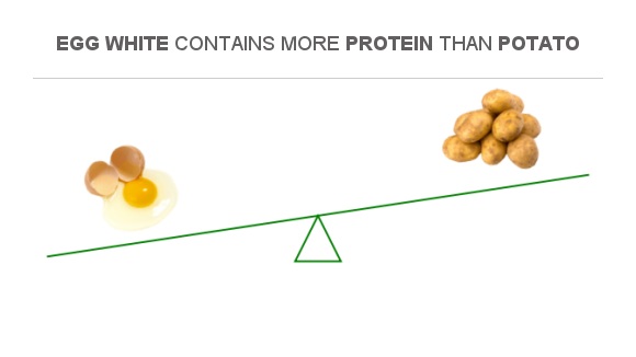 Compare Protein in Egg white to Protein in Potato