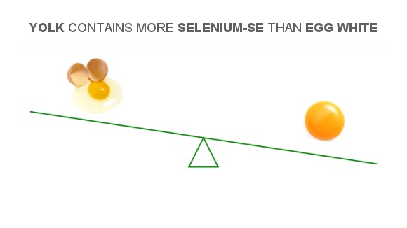 Compare Selenium in Egg white to Selenium in Yolk Compare Selenium in Egg white to Selenium in Yolk