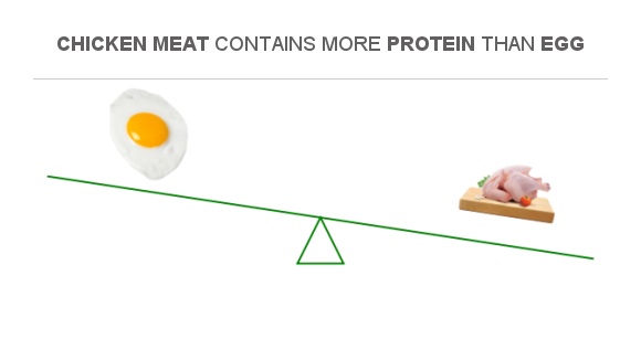 Compare Protein in Egg to Protein in Chicken meat