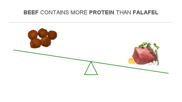 Compare Protein in Falafel to Protein in Beef