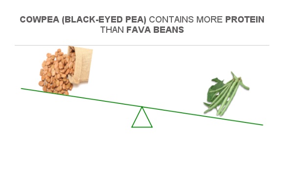 Compare Protein in Fava beans to Protein in Cowpea (Black-eyed pea)