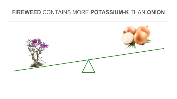 Compare Potassium in Fireweed to Potassium in Onion