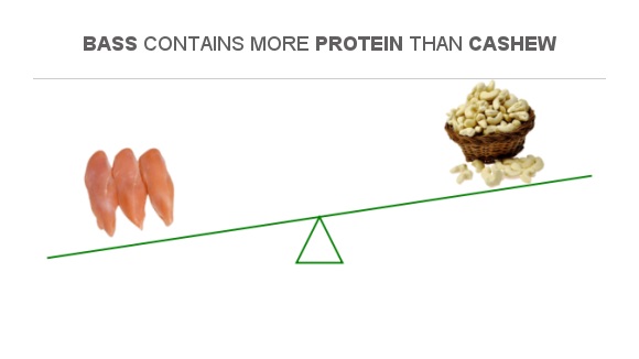 Compare Protein in Sea bass to Protein in Cashew
