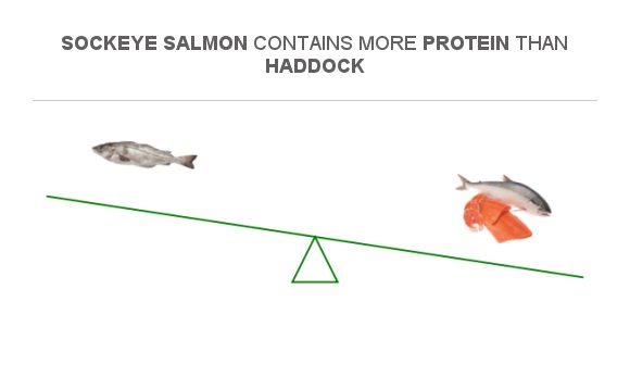 Compare Protein in Haddock to Protein in Sockeye salmon