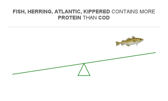 Compare Protein in Fish, herring, Atlantic, kippered to Protein in Cod