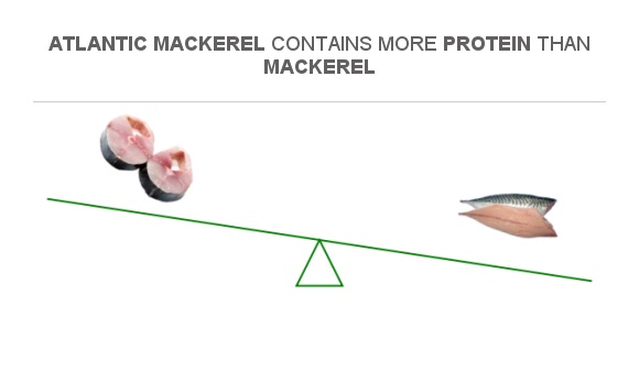 Compare Protein in Mackerel to Protein in Atlantic Mackerel