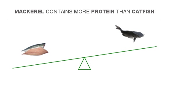 Compare Protein in Mackerel to Protein in Catfish
