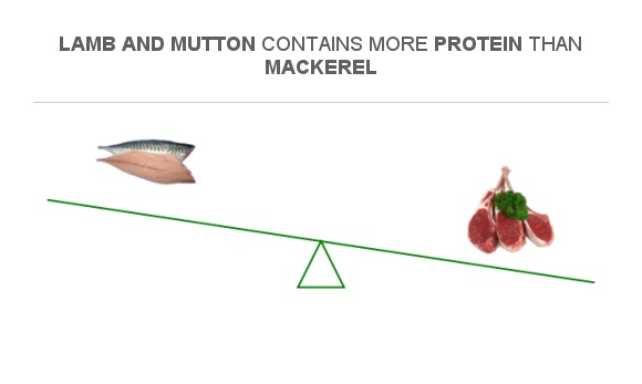 Compare Protein in Mackerel to Protein in Lamb