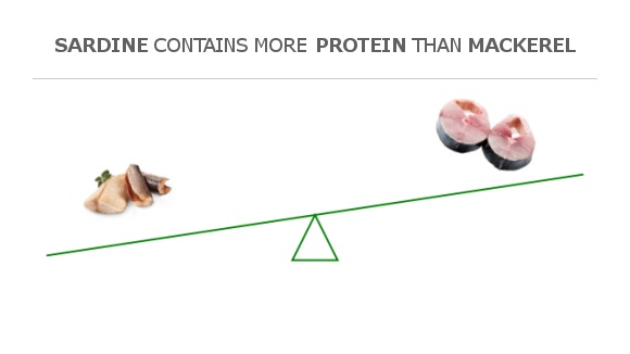 Compare Protein in Sardines to Protein in Mackerel