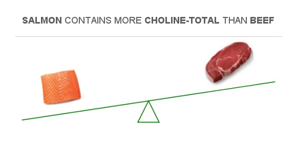Compare Choline in Salmon to Choline in Beef