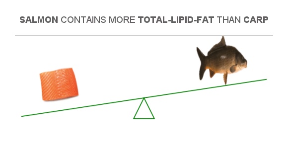 Compare Fats in Salmon to Fats in Carp