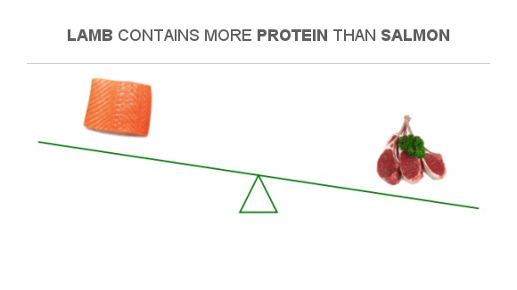 Compare Protein in Salmon to Protein in Lamb