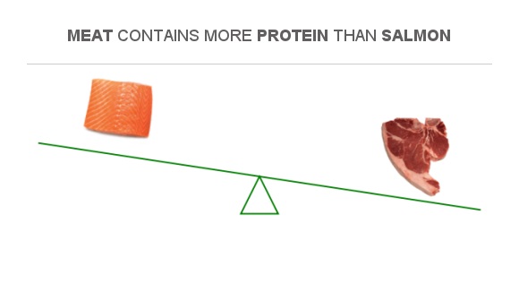 Compare Protein in Salmon to Protein in Pork Meat