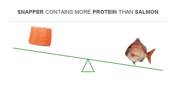 Compare Protein in Salmon to Protein in Snapper