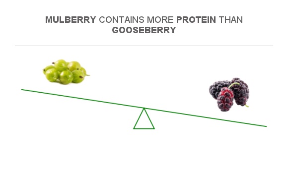 Compare Protein in Gooseberry to Protein in Mulberry