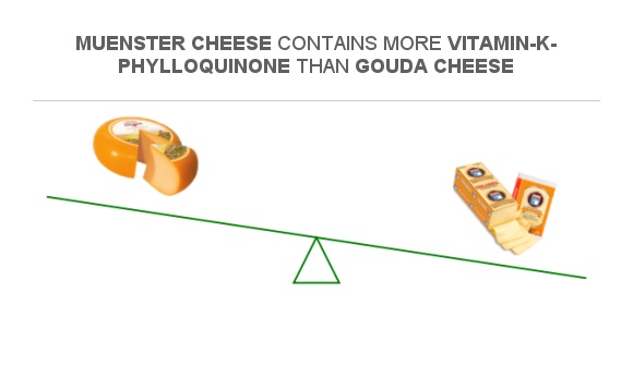 Compare Vitamin K in Gouda cheese to Vitamin K in Muenster cheese