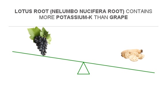 Compare Potassium in Grape to Potassium in Lotus root