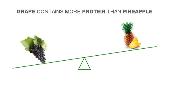 Compare Protein in Grape to Protein in Pineapple