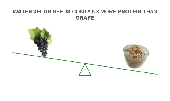 Compare Protein in Grape to Protein in Watermelon seeds
