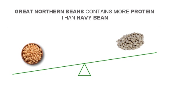 Compare Protein in Great northern beans to Protein in Navy beans