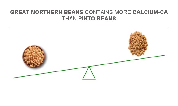 Compare Calcium in Great northern beans to Calcium in Pinto beans
