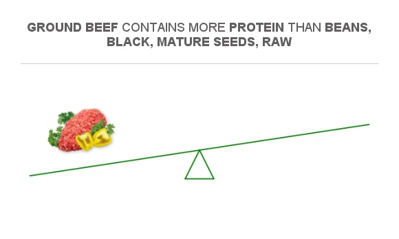 Compare Protein in Ground beef to Protein in Beans, black, mature seeds ...