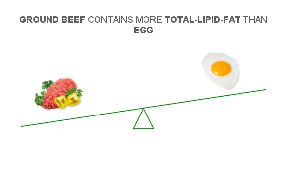 Compare Fats in Ground beef to Fats in Egg