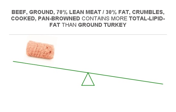 Compare Fats in Ground turkey to Fats in Beef, ground, 70% lean meat ...
