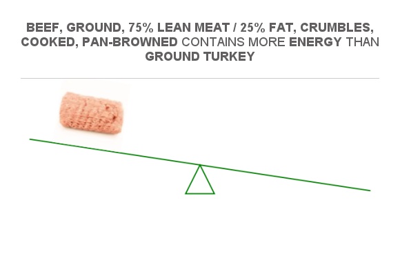 Compare Calories in Ground turkey to Calories in Beef, ground, 75% lean ...
