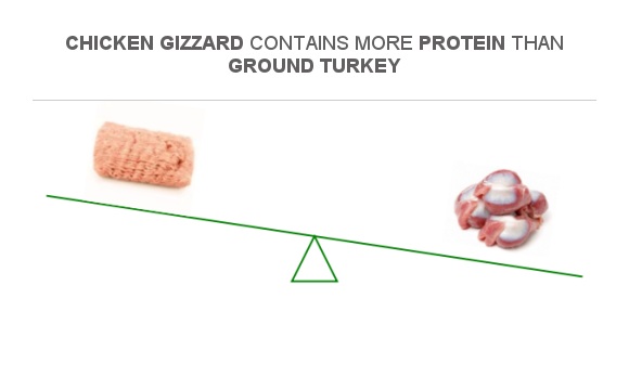 Compare Protein in Ground turkey to Protein in Chicken gizzards