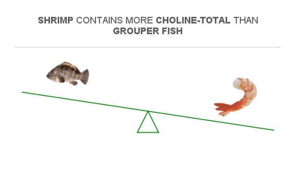 Compare Choline in Grouper fish to Choline in Shrimp