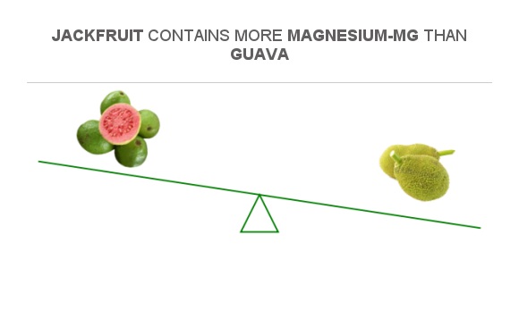 Compare Magnesium in Guava to Magnesium in Jackfruit