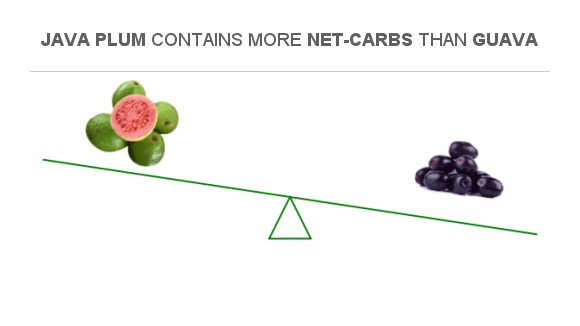Compare Net carbs in Guava to Net carbs in Java plum