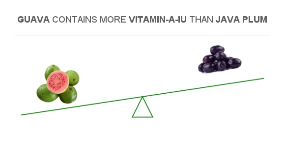 Compare in Guava to in Java plum
