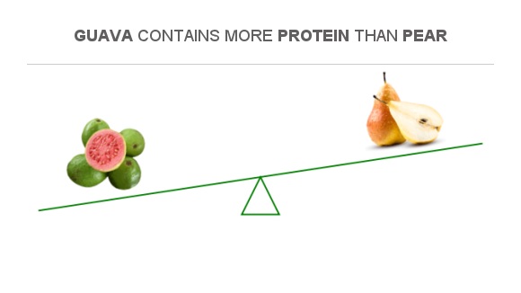 Compare Protein in Guava to Protein in Pear