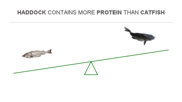 Compare Protein in Haddock to Protein in Catfish