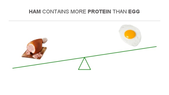Compare Protein in Ham to Protein in Egg