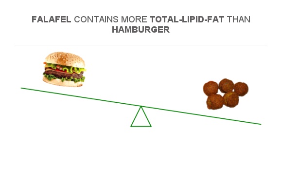 Compare Fats in Hamburger to Fats in Falafel