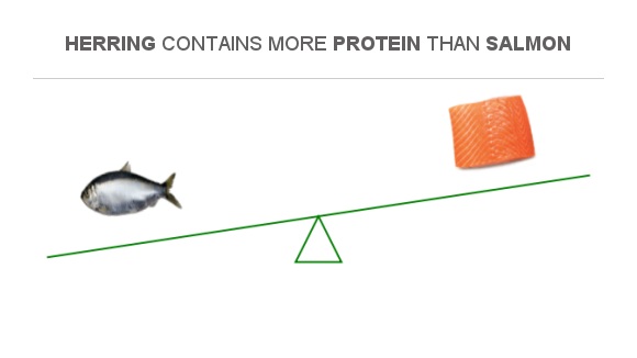 Compare Protein in Herring to Protein in Salmon