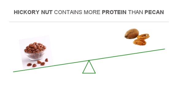 Compare Protein in Hickory nut to Protein in Pecan
