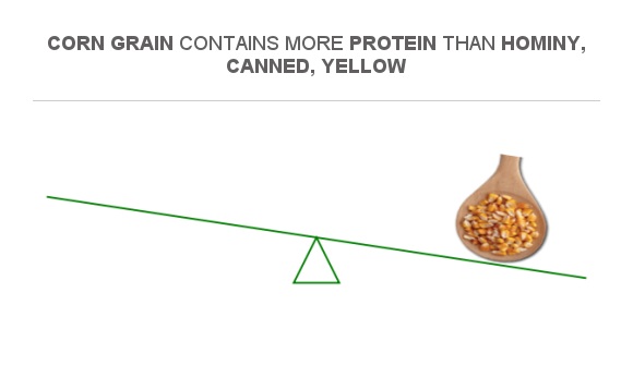 Compare Protein in Hominy, canned, yellow to Protein in Corn grain