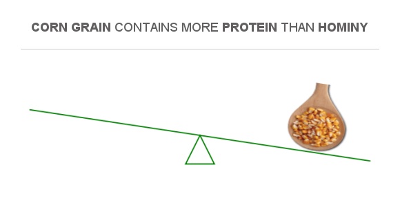 Compare Protein in Hominy to Protein in Corn grain