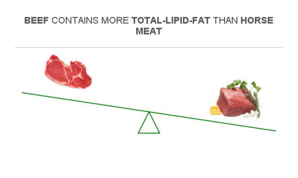Compare Fats in Horse meat to Fats in Beef