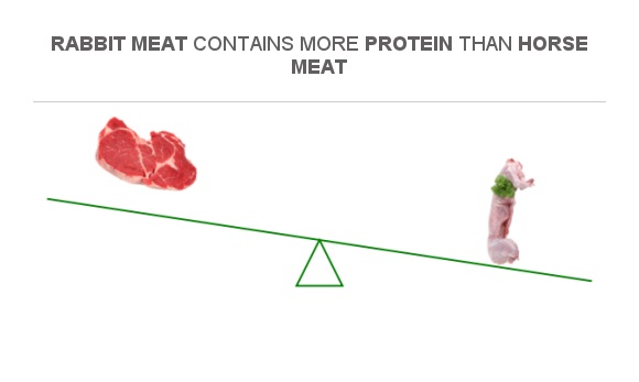 Compare Protein in Horse meat to Protein in Rabbit Meat