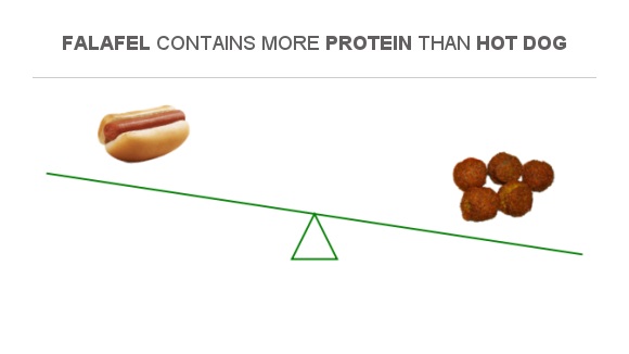 Compare Protein in Hot dog to Protein in Falafel