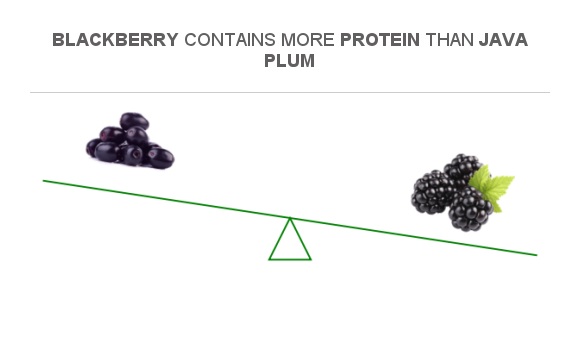 Compare Protein in Java plum to Protein in Blackberry