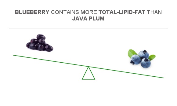 Compare Fats in Java plum to Fats in Blueberry