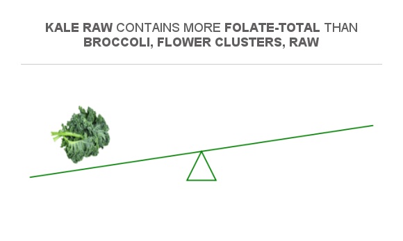 Compare Folate in Kale raw to Folate in Broccoli, flower clusters, raw