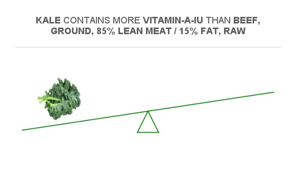 Compare Vitamin A in Kale to Vitamin A in Beef, ground, 85% lean meat ...