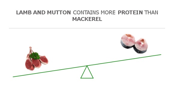 Compare Protein in Lamb to Protein in Mackerel